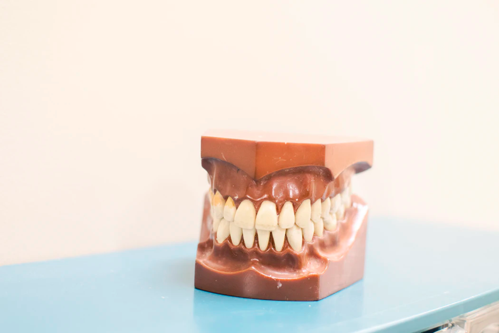 Your Maternity Exemption Certificate Is Something To Smile About your-maternity-exemption-certificate-is-something-to-smile-about